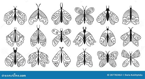 Moth Line Art Moth Vector Moth Illustration Moth Drawing Moth