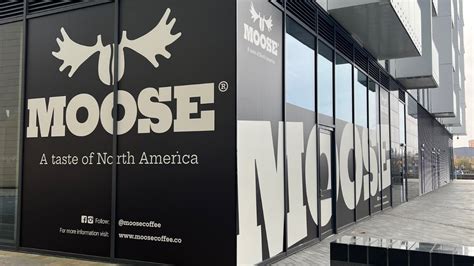 Moose And Continuous Brew Up A Bold New Future World Brand Design Society