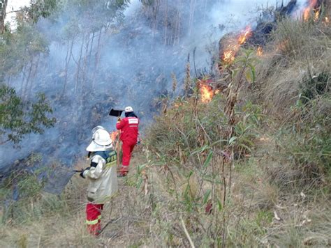 Huancavelica Incendios Forestales Dejan Un Muerto Y Cientos De