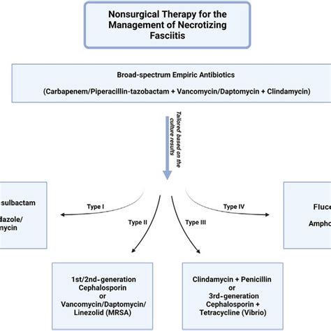Pdf Practical Review Of Necrotizing Fasciitis Principles And