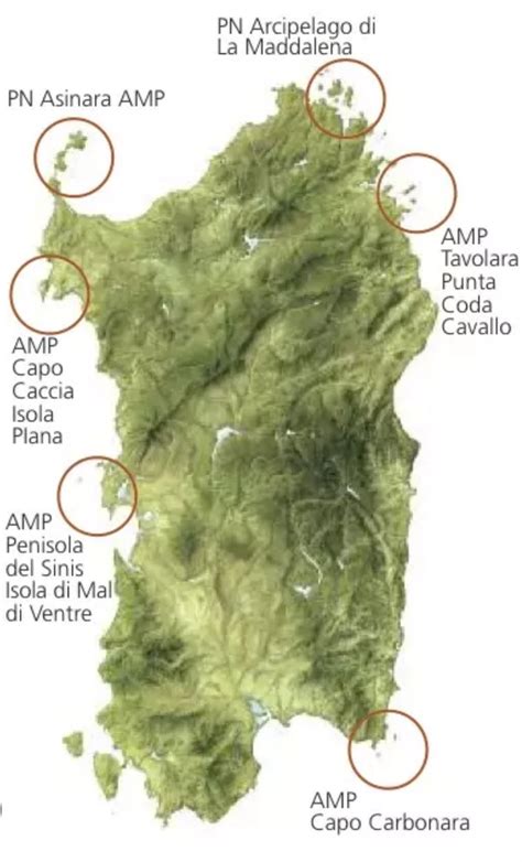 LAS AREAS MARINAS PROTEGIDAS Eleonora Loddo 3DB Linguistico Spagnolo