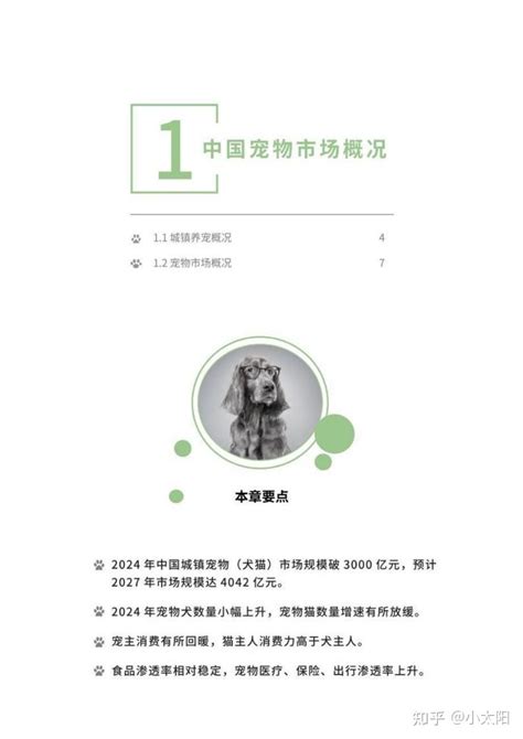 2025年中国宠物行业白皮书 消费报告（附下载） 知乎