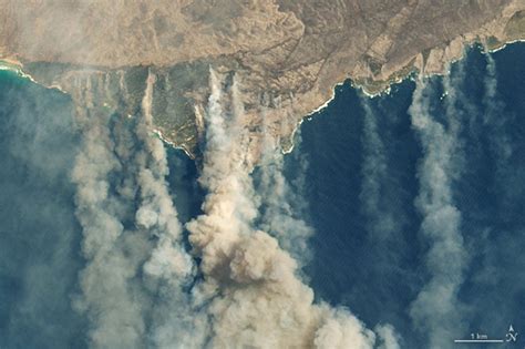 Bushfires Not Pandemic Lockdowns Had Biggest Impact On Global Climate