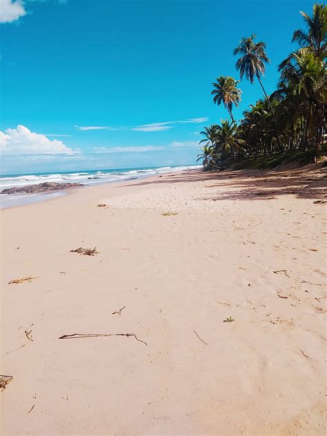 Praia De Busca Vida Beaches Landscapes Praias Praias Baianas