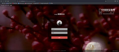 Java安全 代码审计 仿真天猫商城代码审计实战之迷你天猫商城系统 Csdn博客