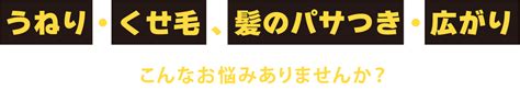 Stopうねうね うねり・くせ毛素直にまとまるサラ艶髪へ ラエナ Unヘアミスト＜洗い流さないヘアトリートメント＞ 株式会社ラエナ