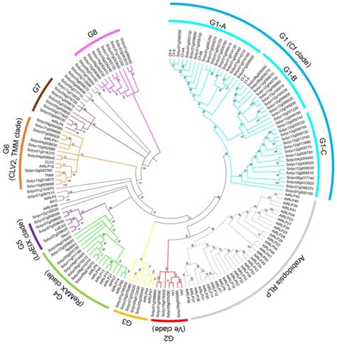 Genome Wide Identification Classification And Expression Analysis Of