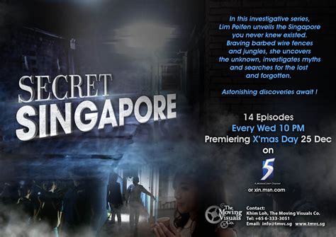 Secret Singapore Brand New Series Premieres X Mas Day 10 Pm On