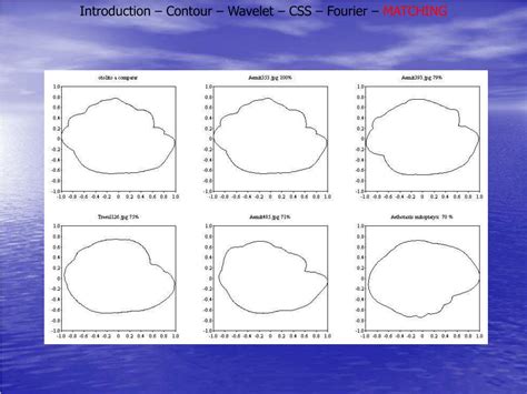 Ppt Otolith Shape Analysis Using Wavelet Transfoms And Curvature Scale Space Powerpoint