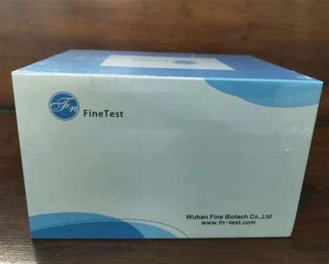 Fine Test Rat Sost Sclerostin ELISA Kit T At Best Price In New Delhi