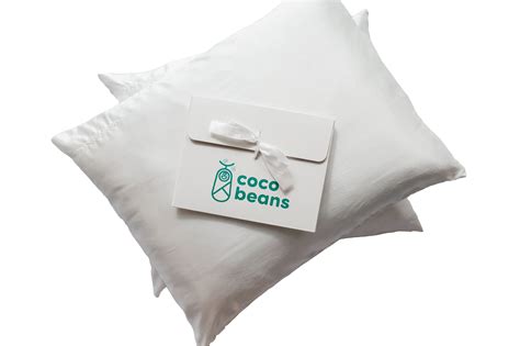 100 Silk Machine Washable Pillowcase White Coco Beans
