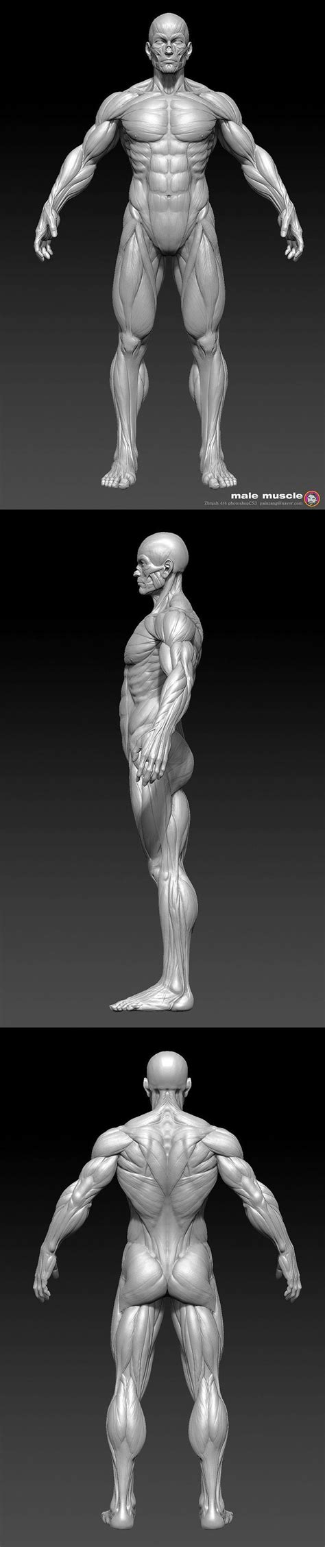 Best Blender Images On Pinterest Maya Wireframe And Ds Max