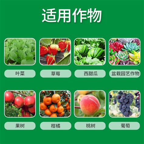 诺普丰 磷酸二氢钾 果树 蔬菜 肥料 农查查