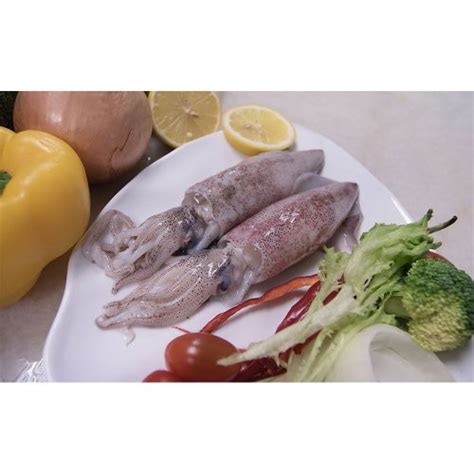 Squid Kmc Distribution Sdn Bhd