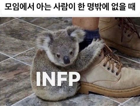 ㅈ 됐다 운동 건강 아싸 에펨코리아