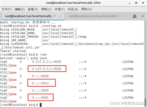 系统学习linux Tomcat基础部署linux 使用tomcat部署 Csdn博客