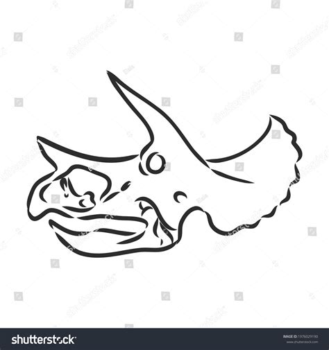 Dinosaur Skull Drawing Trex Skull Dinosaur Stock Vector Royalty Free