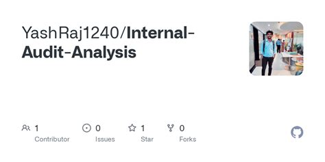 Github Yashraj1240internal Audit Analysis