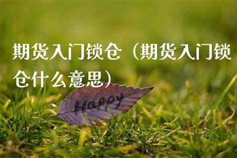 期货入门锁仓期货入门锁仓什么意思 财经之家