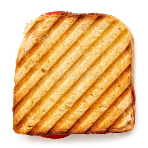 Cheese And Tomato Toasted Sandwich Stock Photo Image Of Wheat Crispy