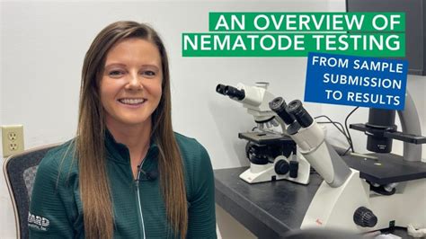 An Overview Of Nematode Testing From Sample Submission To Results
