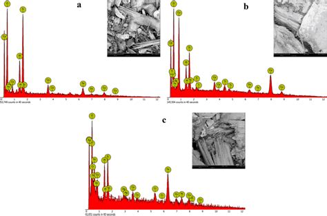 Sem Micrographs And Semi Quantitative Analysis By Energy Dispersive