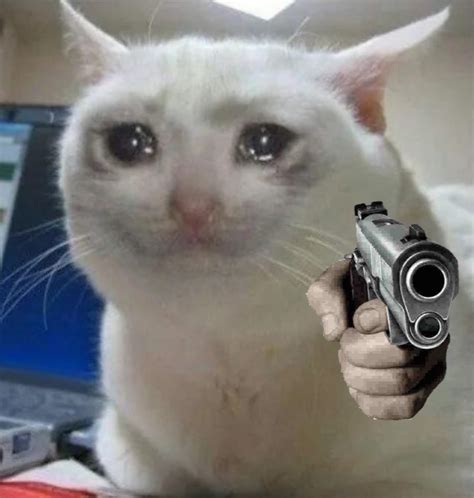 Create Meme Cat Meme Sad Sad Cat Pictures Meme