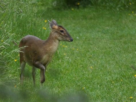 Stonepit Field Site Visit Tuesday 6th June 2023 Milton Keynes
