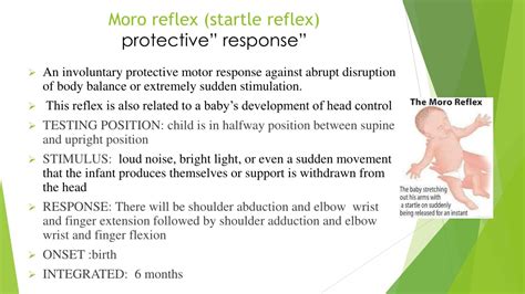 Ppt Primitive Reflexes Powerpoint Presentation Free Download Id