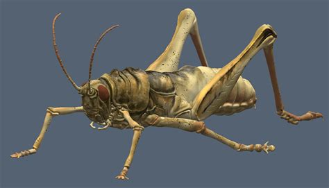 Grasshopper On Behance