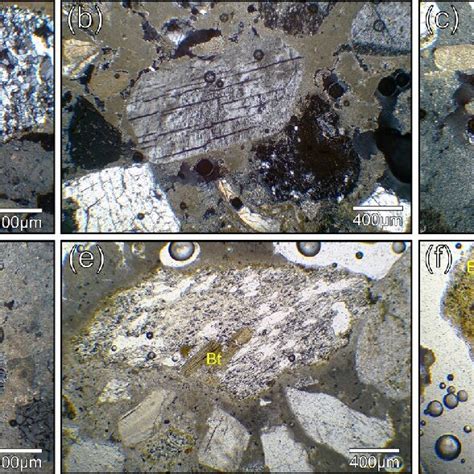 Detailed Micrographs In Polarized Light Microscopy In Transmitted