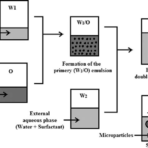 Procedure For Preparation Of Solid Microparticles By Double Emulsion Download Scientific