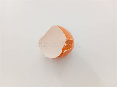 The Egg Shell Is The Outermost Layer Of The Egg This Layer Can Have A