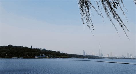 胡敏教授：咱新航道还有什么好说的？ ღ ღ教育融合留学