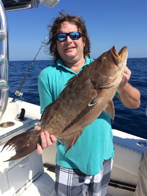 Scamp Grouper Fishing In The Florida Keys