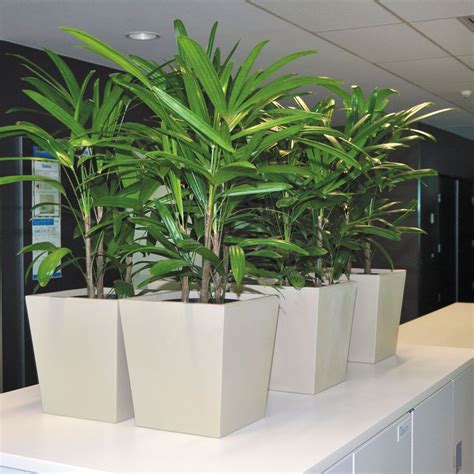 Container Connectionurban Table Wedge