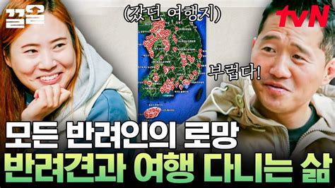 이게 바로 낭만이지 전국 곳곳이 우리 집 매일 반려견과 함께 여행 다니는 중입니다 고독한훈련사 YouTube