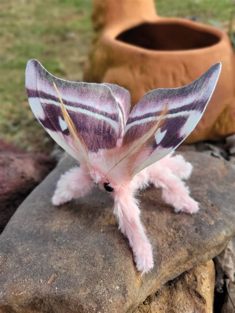 Pink Silk Moth Butterfly Soft Sculpture Ooak Textile Taxidermydoll Plush Toy Made To