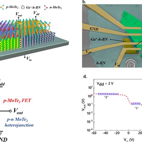 A Schematic Of The Structure Of The Ternary Inverter Built On The Download Scientific Diagram