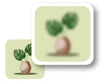 Remove A Border From An Image Online Image Tools Remove A Border From An Image Online Image Tools