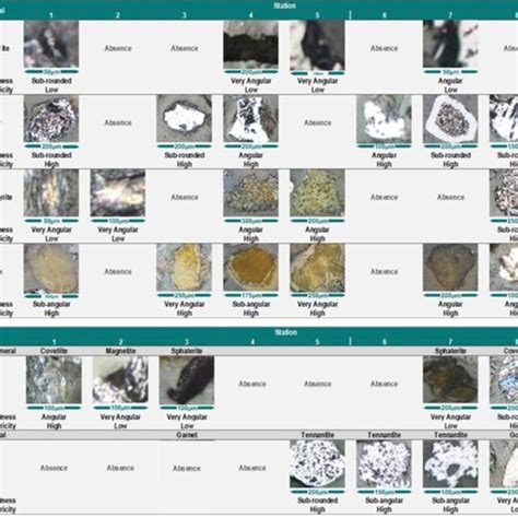 morphology characteristics roundness and sphericity of ore mineral