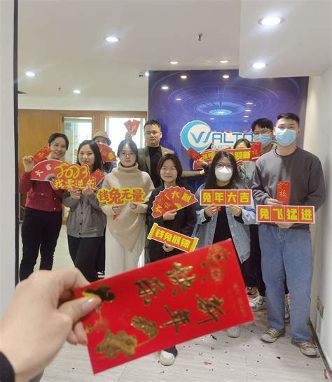 Walton Electronics Coltd