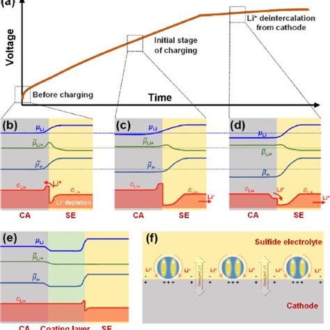 Evolution Of Space Charge Layer At The Cathode Ca Se Interface And
