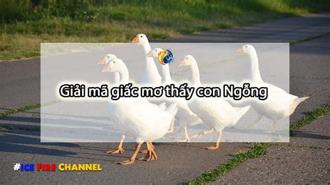 Gi I M Gi C M Th Y Kh M Ph Ngh A V T M Quan Tr Ng