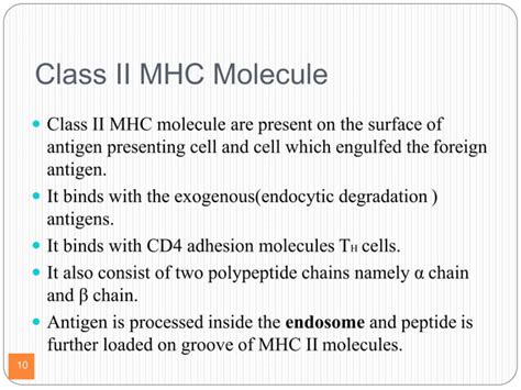 Mhc Major Histocompactibility Complex Definition Classification Structure And Functions Of