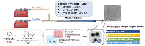 609f Microfluidic Engineering Of Pdna Nanogels Using A Co Axial Flow