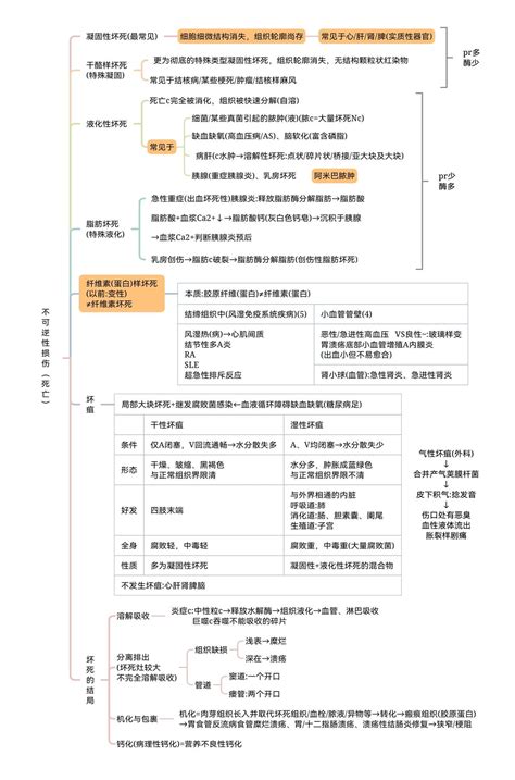 思维导图【病理学】第一章 细胞和组织的适应和损伤 存档 哔哩哔哩