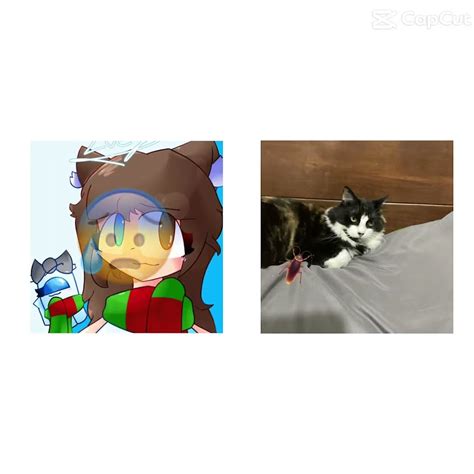 When Theres A Crockroach In My House Youtube