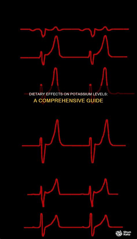 Dietary Effects On Potassium Levels A Comprehensive Guide Shunketo