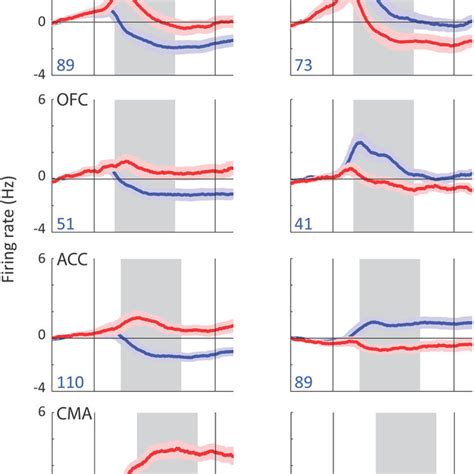Time Course Of Activity Encoding The Type Of Decision For Download
